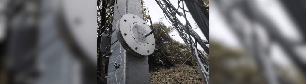 REAP first chapter formation