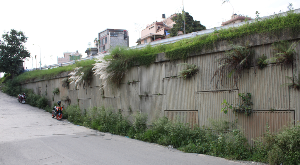 Structural Integrity of Reinforced Soil Walls: Challenges and Solutions ...