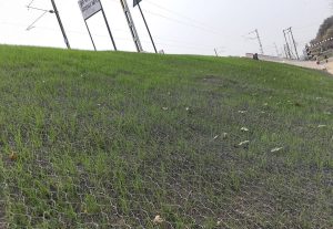 Saving the Ground Beneath Us: Tackling Soil Erosion in India ...