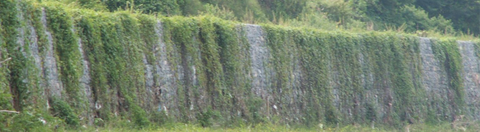 Muro De Contención Por Gravedad En República Dominicana