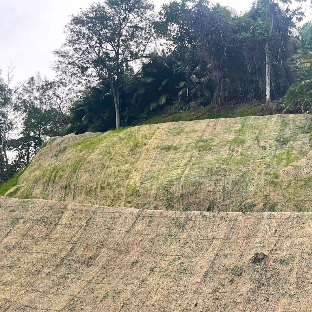 Strengthening Foundations: Sustainable Slope Protection for the New ...