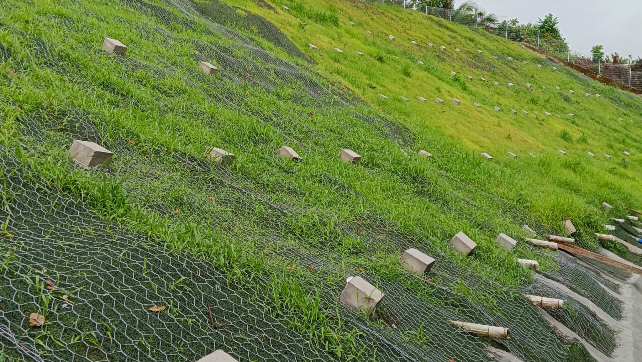 Erosion Control Design Using the C Factor Approach - Maccaferri Malaysia