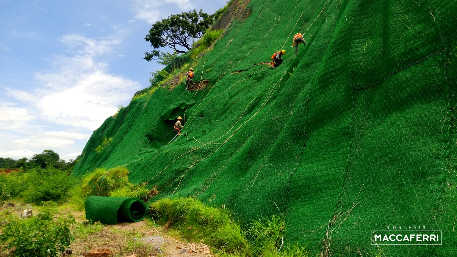 Estabilidad y tratamiento superficial de taludes con geosintéticos ...