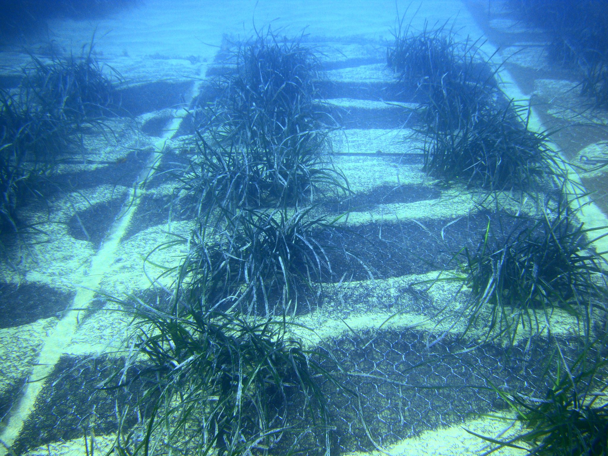 Maccaferri Philippines Joins the Ocean Summit in Coron, Palawan: A ...