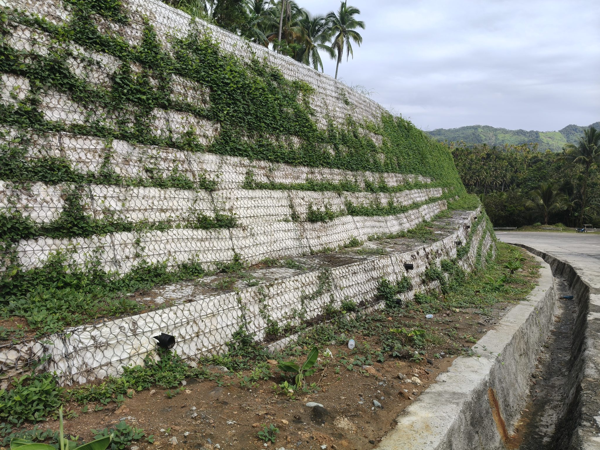 Slope Protection for Surigao del Sur Boundary – Davao Oriental Coastal ...