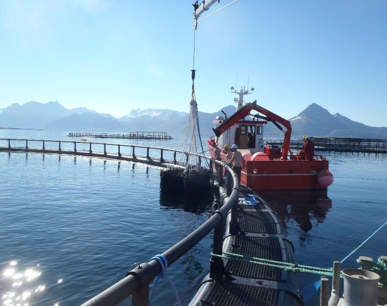 Fish net pens - Maccaferri: Engineering a Better solution