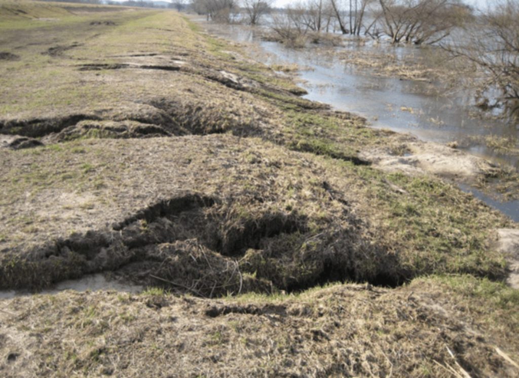 RenoMesh - Maccaferri: Engineering a Better solution