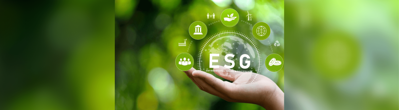 Maccaferri launches an ESG project to measure sustainability ...